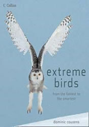 Extreme birds, from the fastest to the smartest. - www.birdwords.co.uk